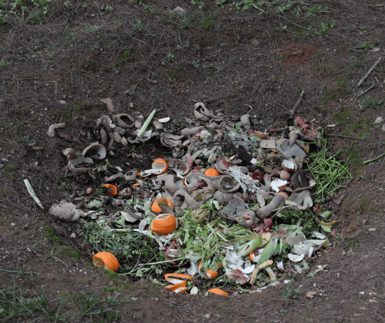 Things You Need to Know Before Buying an Electric Composter – The ...