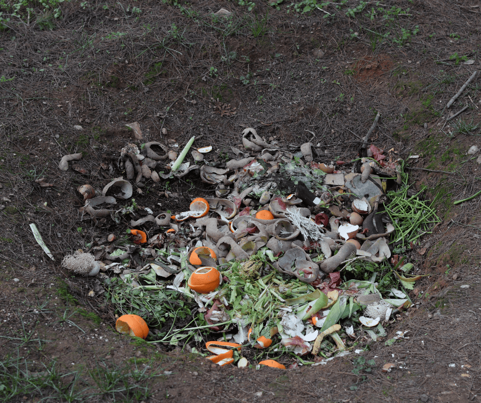 Things You Need to Know Before Buying an Electric Composter – The ...