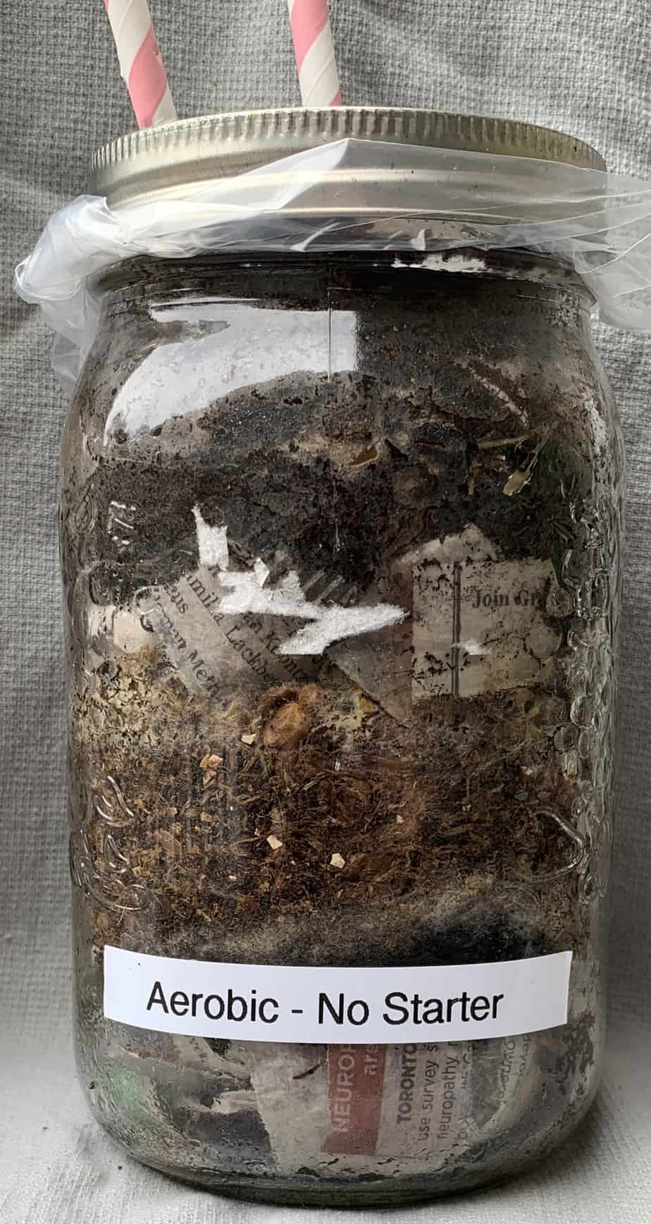 My FoodCycler Compost Experiment – Updates – The Cottage Wife