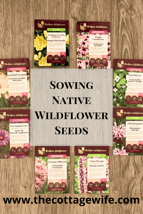 Starting Native Plants From Seed – The Cottage Wife