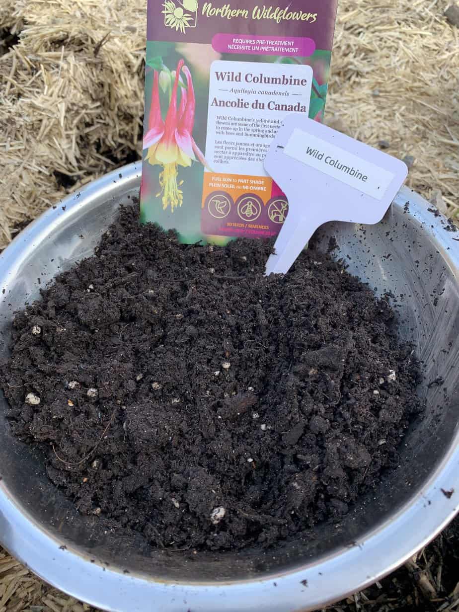 Broadcast Sowing and Frost Seeding Native Plant Seeds – The Cottage Wife