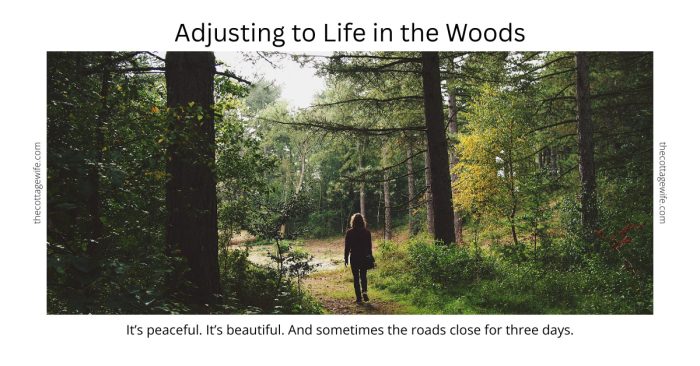 Adjusting to Life in the Woods – The Cottage Wife